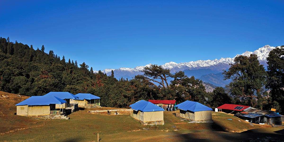 Camping in Chopta | 5 Best Camping Packages in 2025 @ Rs1099